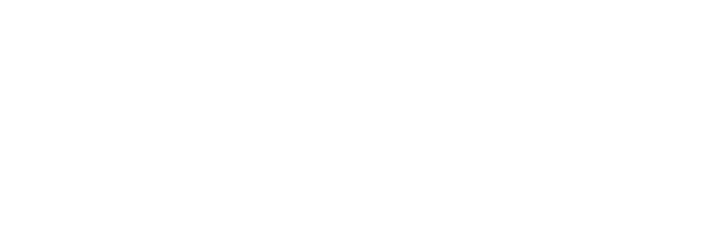 AUDI I-COACH PORTAL